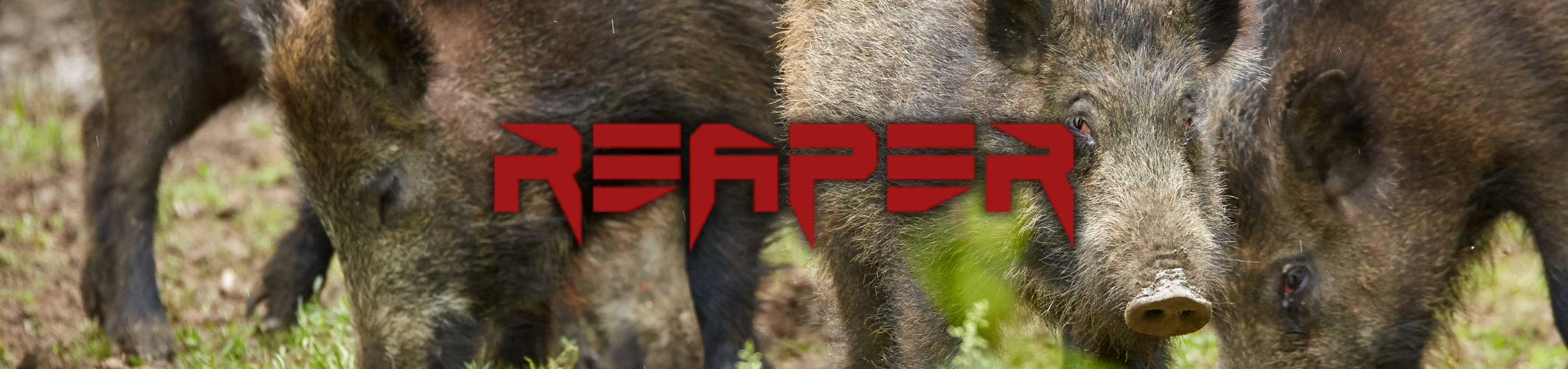 Reaper Riflescopes – Atibal Optics